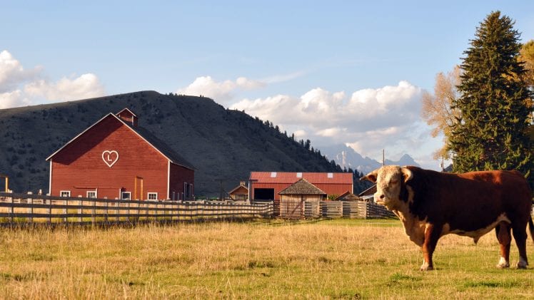 A Beauty of a Ranch - Growing Magazine