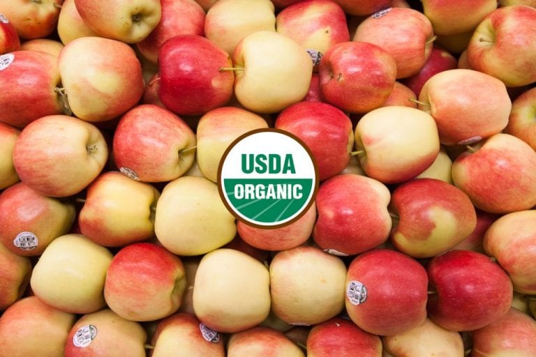 Organic Apples in New York - Growing Magazine