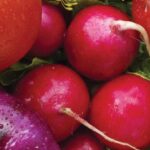 Guide to Juneberries - Growing Magazine