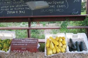 Crop Selection: Choosing the Best Crops For Your Farm - Growing Magazine