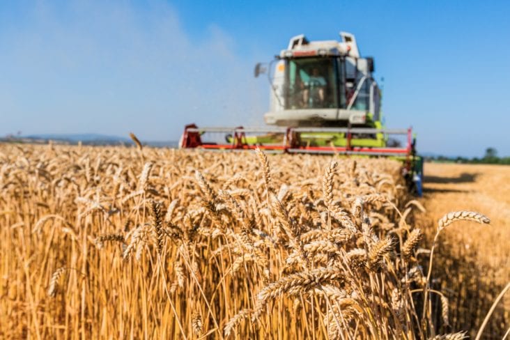 Harvesting Equipment: What Do You Need - 2024 Guide - Growing Magazine