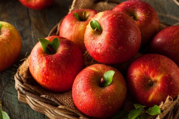 Strong Apples and Great Expectations 2024 - Growing Magazine