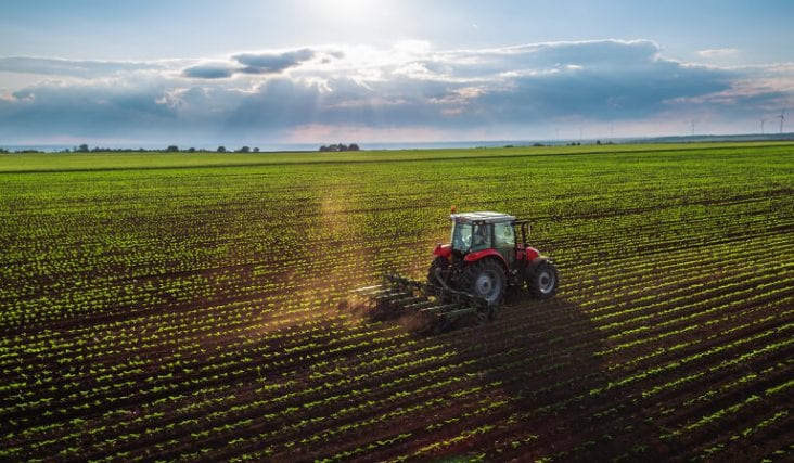 Unusual Crops - 2024 Guide - Growing Magazine