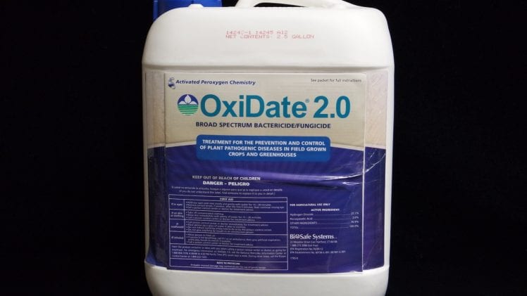 Research Shows That BioSafe Systems’ OxiDate 2.0 is Safe on Honey Bees ...