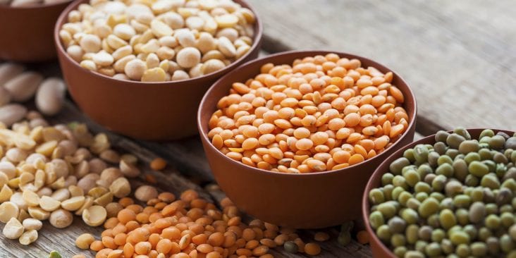 2016 Named International Year of Pulses - Growing Magazine