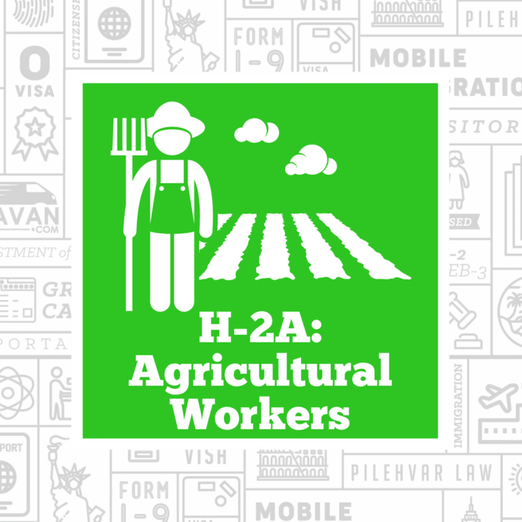Is The H-2A Program a Good Fit for My Business? - Growing Magazine
