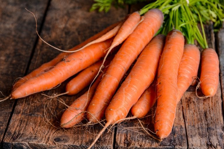 Getting to the Root of Good Carrot Production - Growing Magazine