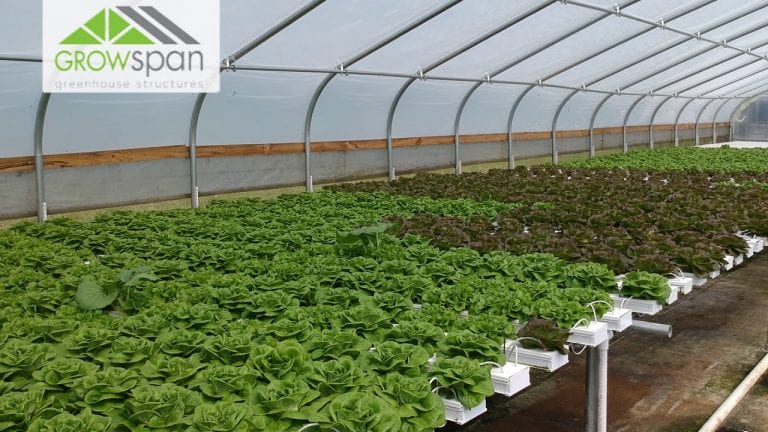 GrowSpan Reveals New Inventive Growing Structure - Growing Magazine