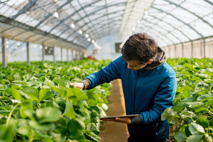 Safety for Greenhouse Workers - Growing Magazine