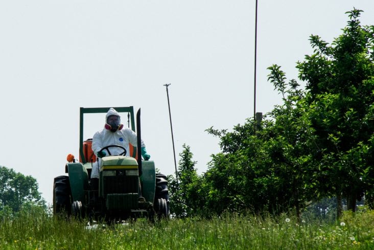 Insects in Apple Orchards - Growing Magazine