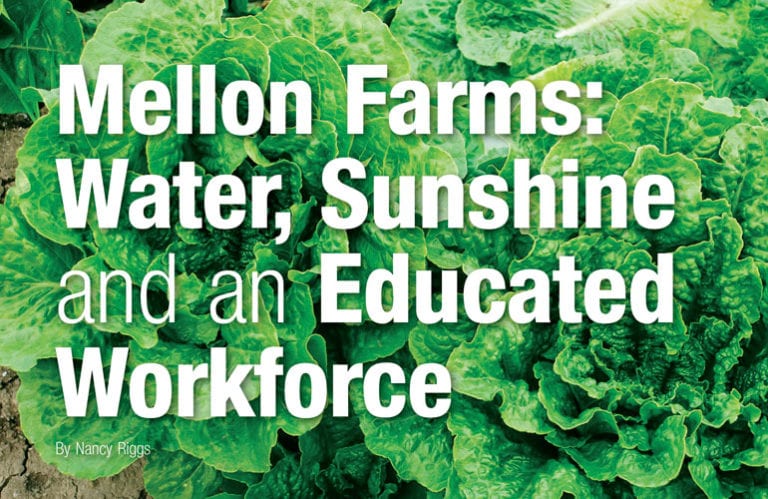 Mellon Farms: Water, Sunshine and an Educated Workforce - Growing Magazine