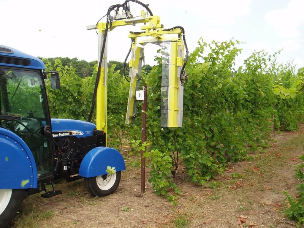 Making the Cut: Summer Pruning - Growing Magazine