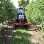 Orchard Management: When is the Perfect Time to Harvest? - Growing Magazine
