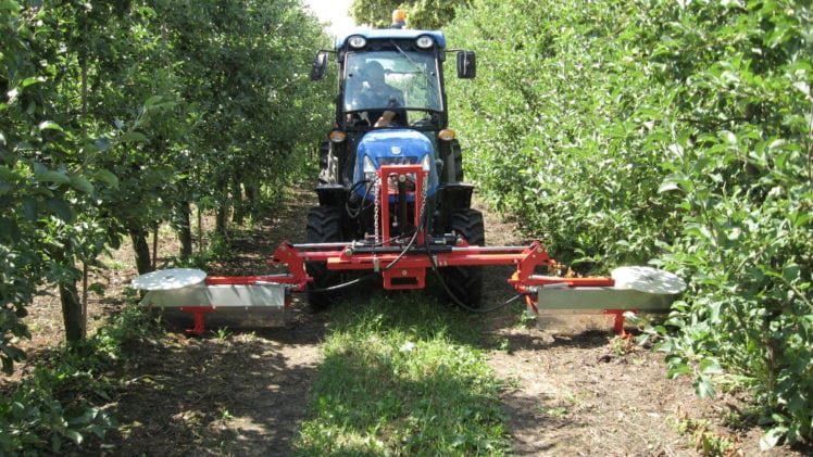 Orchard Floor Care: Weed Control - Growing Magazine