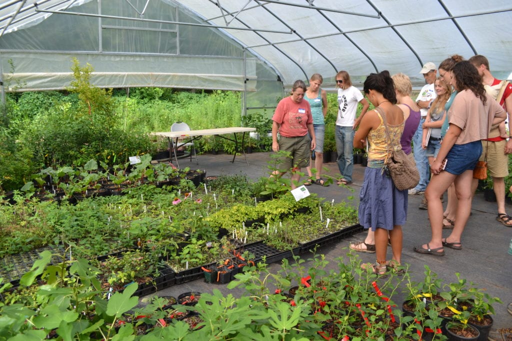 Nursery Grower Challenges - Growing Magazine