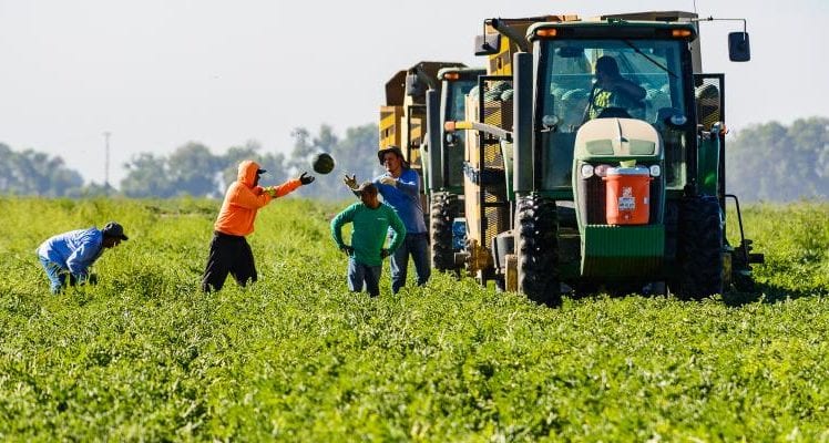 No Easy Solution for Labor Shortages - Growing Magazine