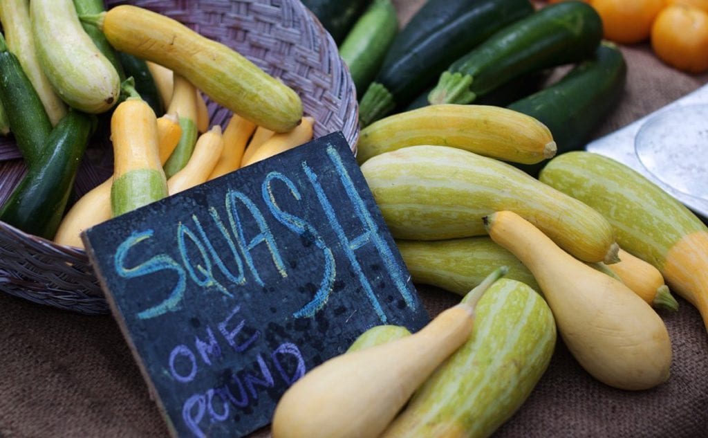New Summer Squashes Add Variety - Growing Magazine