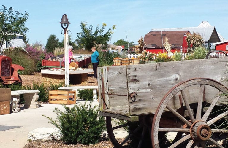 Ackerman Family Farms and their Famous Pumpkins - Growing Magazine