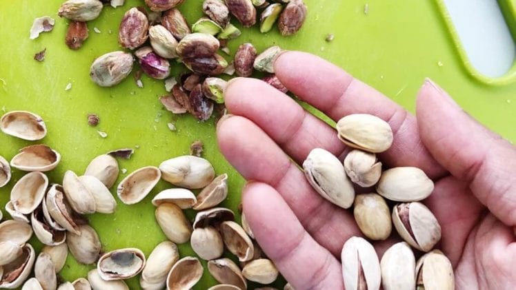 A Peek at Pistachios - Growing Magazine