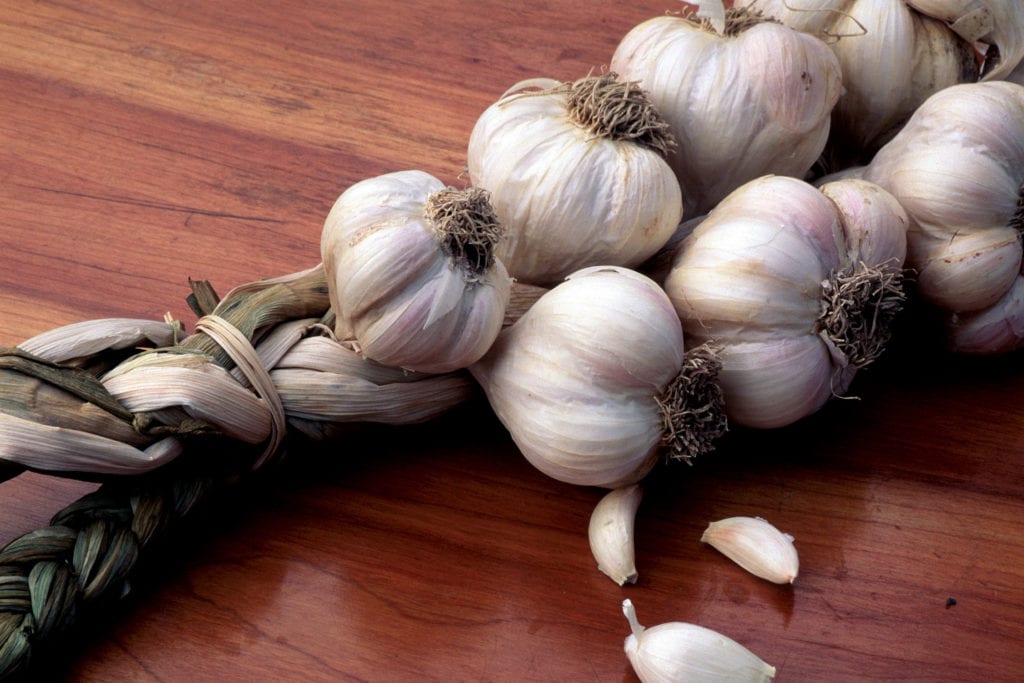 Sweet Smell of Garlic Success - Growing Magazine