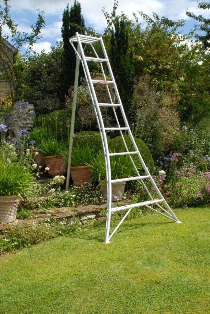 Climbing Up the Orchard - Growing Magazine