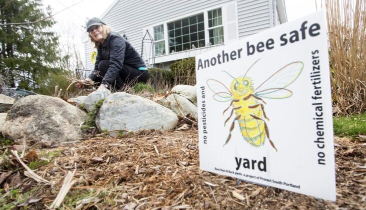 What do you know about Bee Safe Pesticides? - Growing Magazine