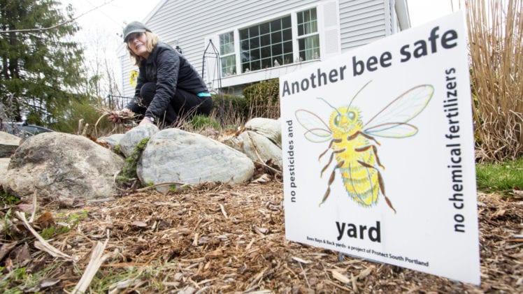 What do you know about Bee Safe Pesticides? - Growing Magazine