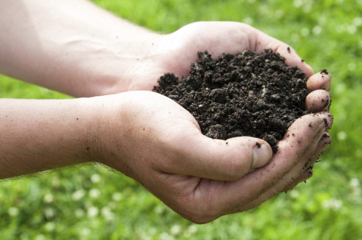 The Use and Benefits of Topsoil and Companies Delivering Topsoil ...