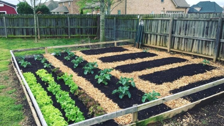 6 Gardening Instagram Accounts To Follow Right Now - Growing Magazine