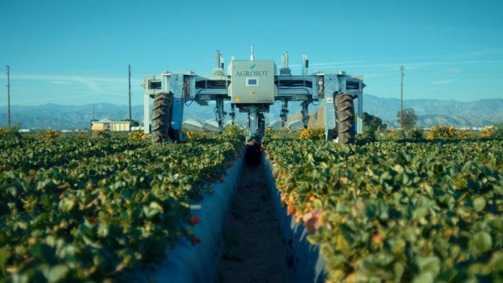 Robot Strawberry Picker Does the Work Humans Do Not Want To - Growing ...