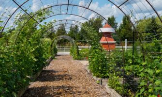 How To Choose A Canopy Tent For Your Garden - Growing Magazine