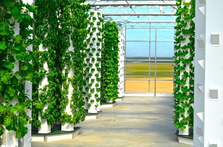 What Is So Good About Hydroponics - Growing Magazine
