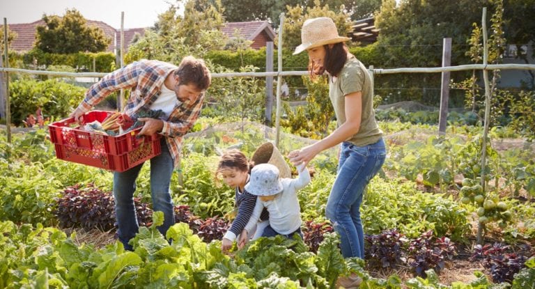 How Can Life On Farm Benefit Your Health - Growing Magazine
