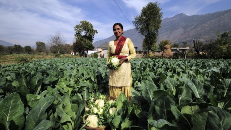 What challenges lie in the way of a successful organic farming in India ...