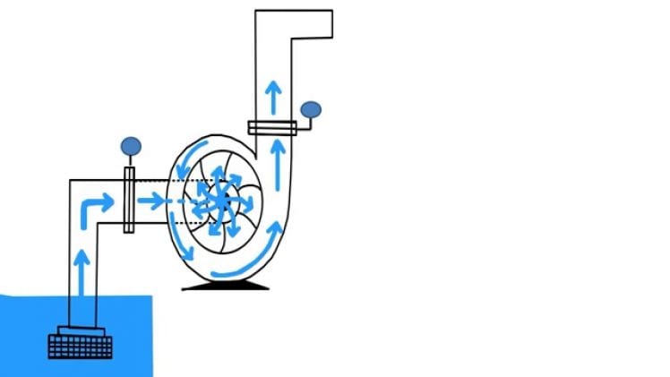 How Does a Centrifugal Pump Work - 2024 Guide - Growing Magazine