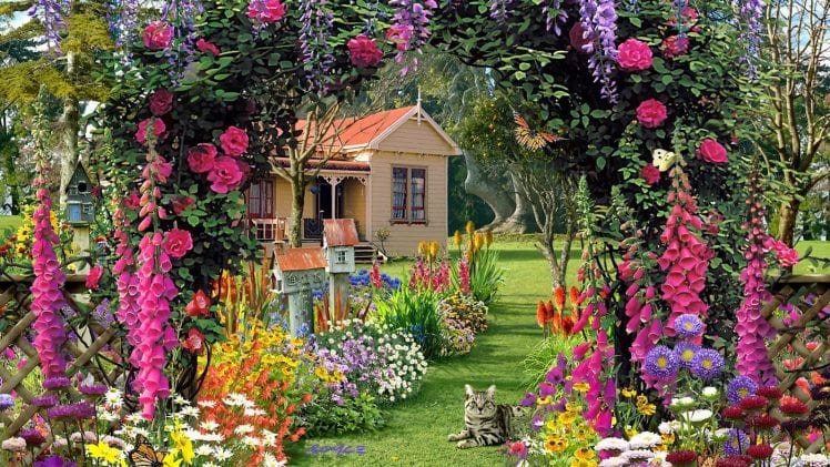 Organic Flower Garden - Why Keep One in 2021 - Growing Magazine