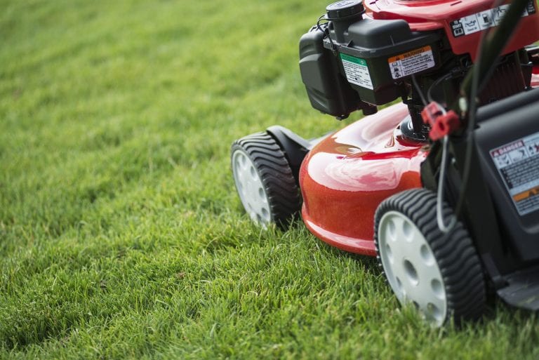 10 Most Popular Lawn Mower Types You Should Know About - 2024 Guide ...