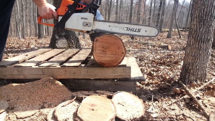 9 Best 16 inch Chainsaw 2024 - Top Picks Reviewed & Tested