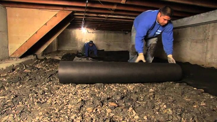 Tips and Tricks to Protect Your Home From Termites - 2024 Guide ...