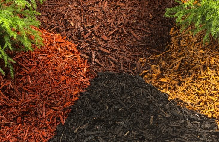 Tips and Tricks to Protect Your Home From Termites - 2024 Guide ...