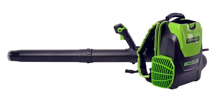 7 Best Backpack Leaf Blower 2021 - Top Picks - Growing Magazine