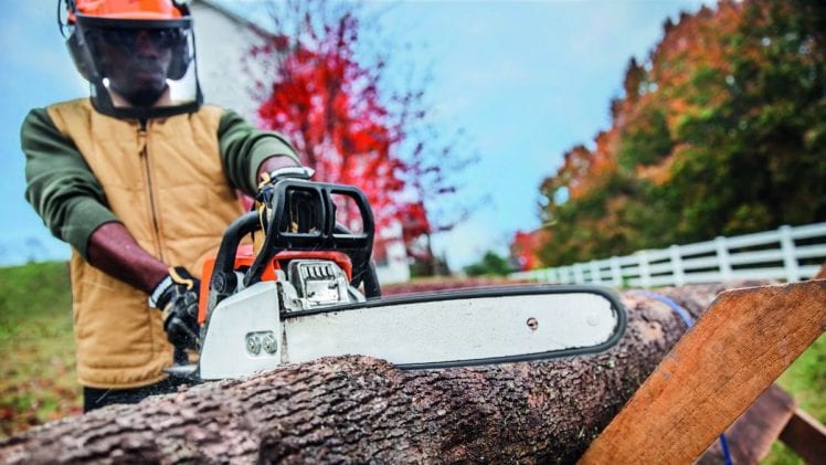 Here is a List of 7 Best Chainsaws in 2024 - Growing Magazine