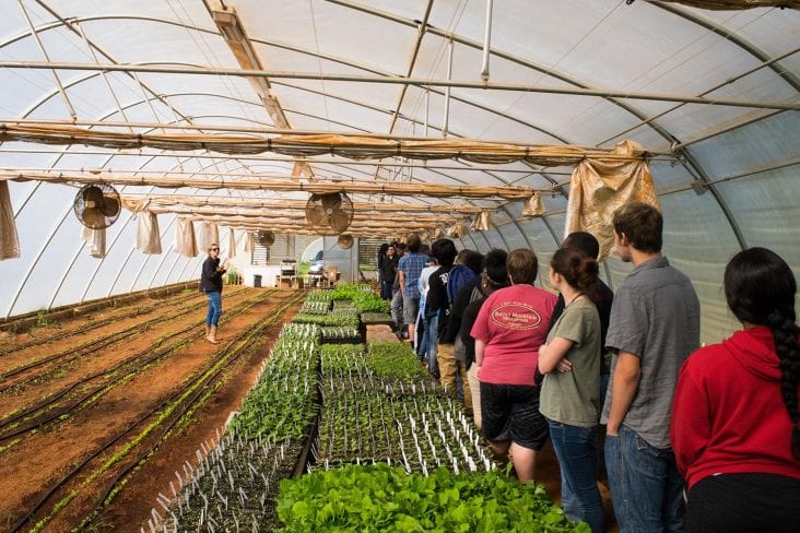 What Are the Best Ways for Promoting Farm Tourism in 2024 - Growing ...