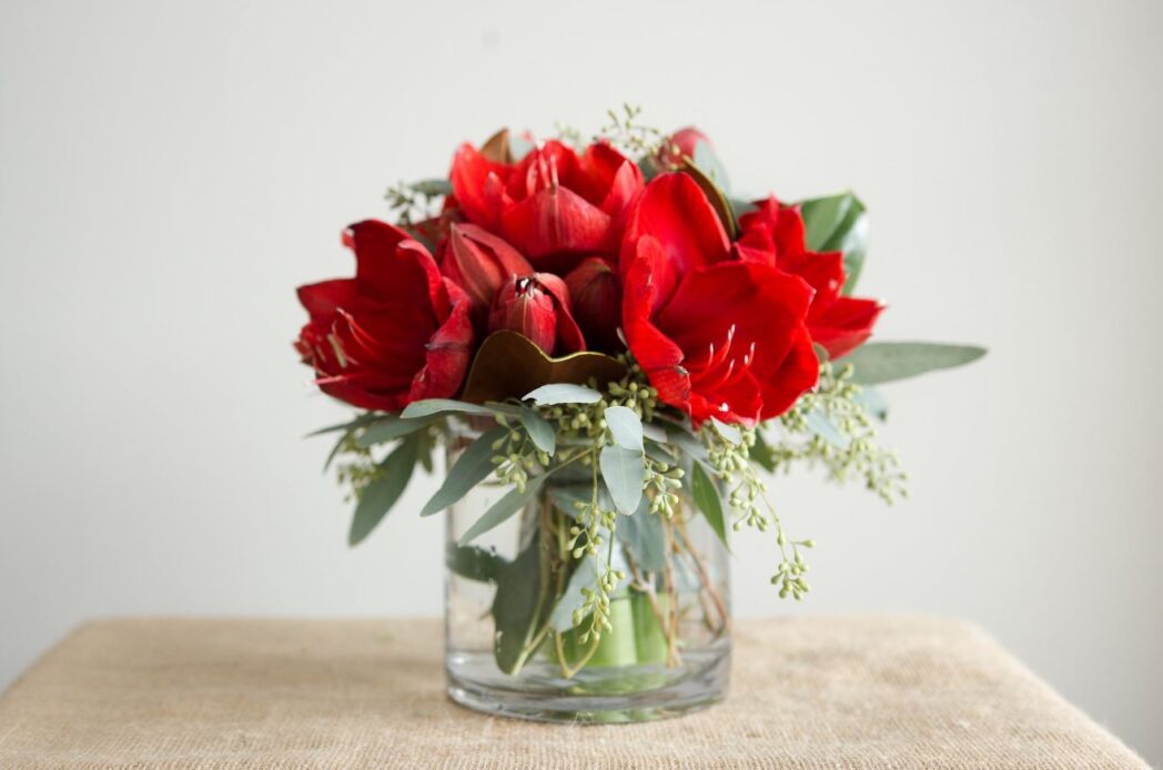 Top 8 Most Interesting Flowers For Your Garden In 2024 - Growing Magazine