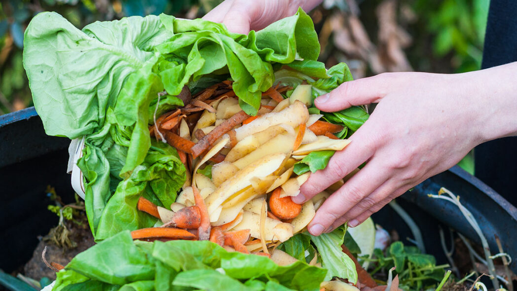 Make a Resolution for 2024 to Reduce Food Waste at Home To Make A ...