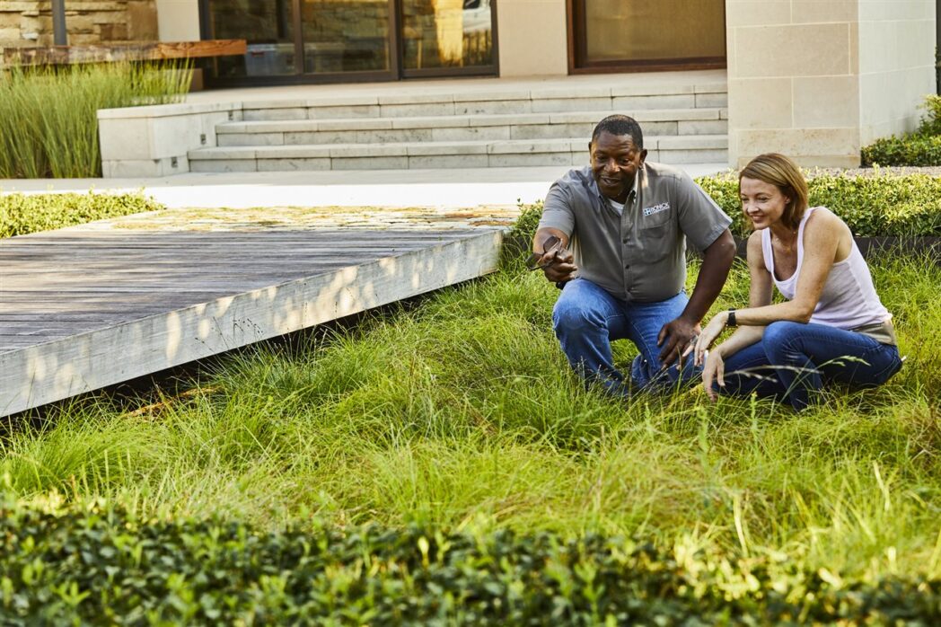 7 Benefits of Hiring Professional Landscape Designer - 2024 Guide ...