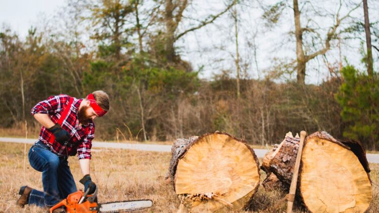 10 Common Forestry Equipment & Machinery Used for Logging - 2021 Guide ...