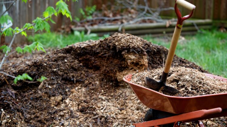5 Ways Mulching Can Save the Farmer's Time and Labour - 2020 Guide ...
