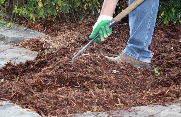 5 Ways Mulching Can Save the Farmer's Time and Labour - 2024 Guide ...
