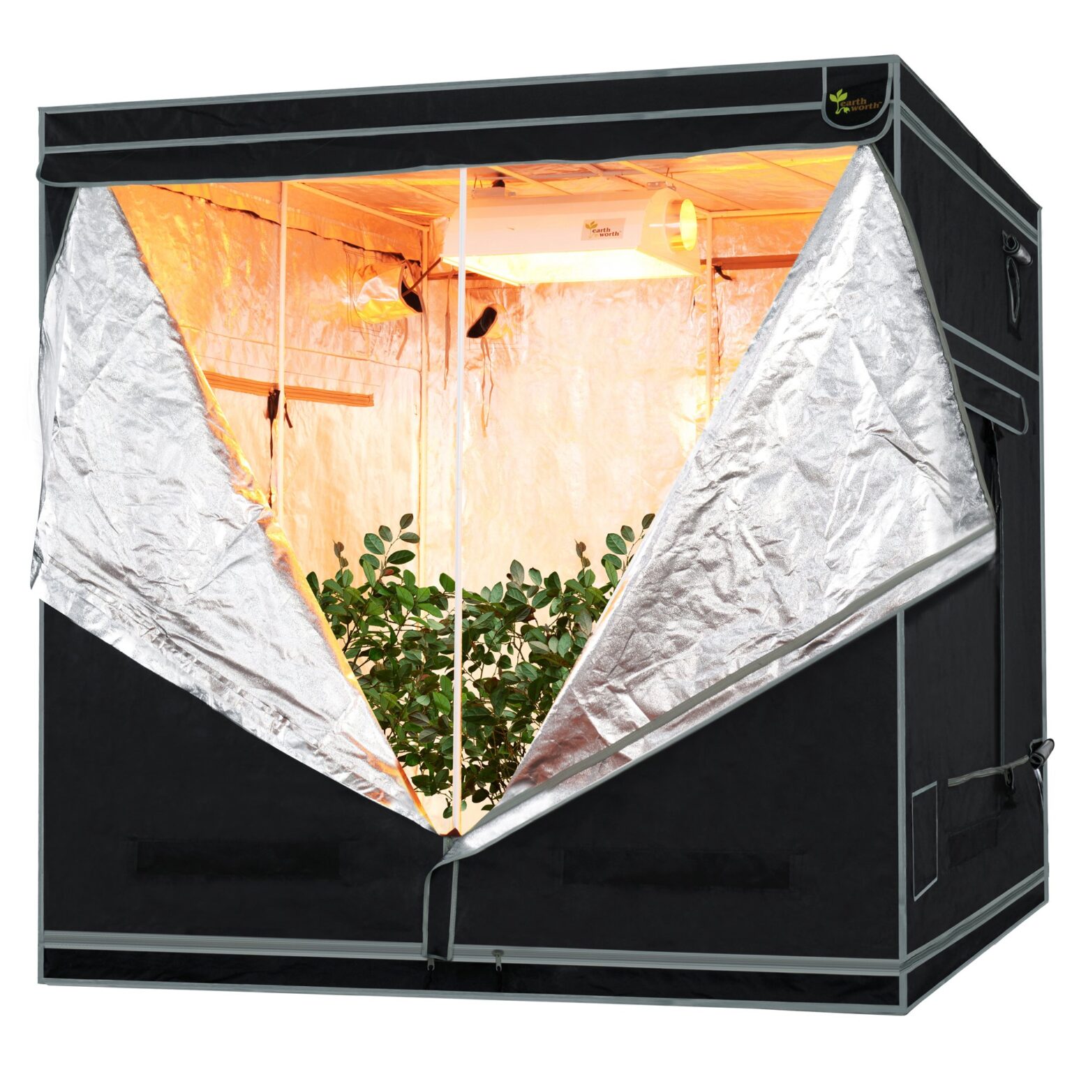 A Beginner Grower’s Guide to Using Indoor Grow Tents 2024 - Growing ...